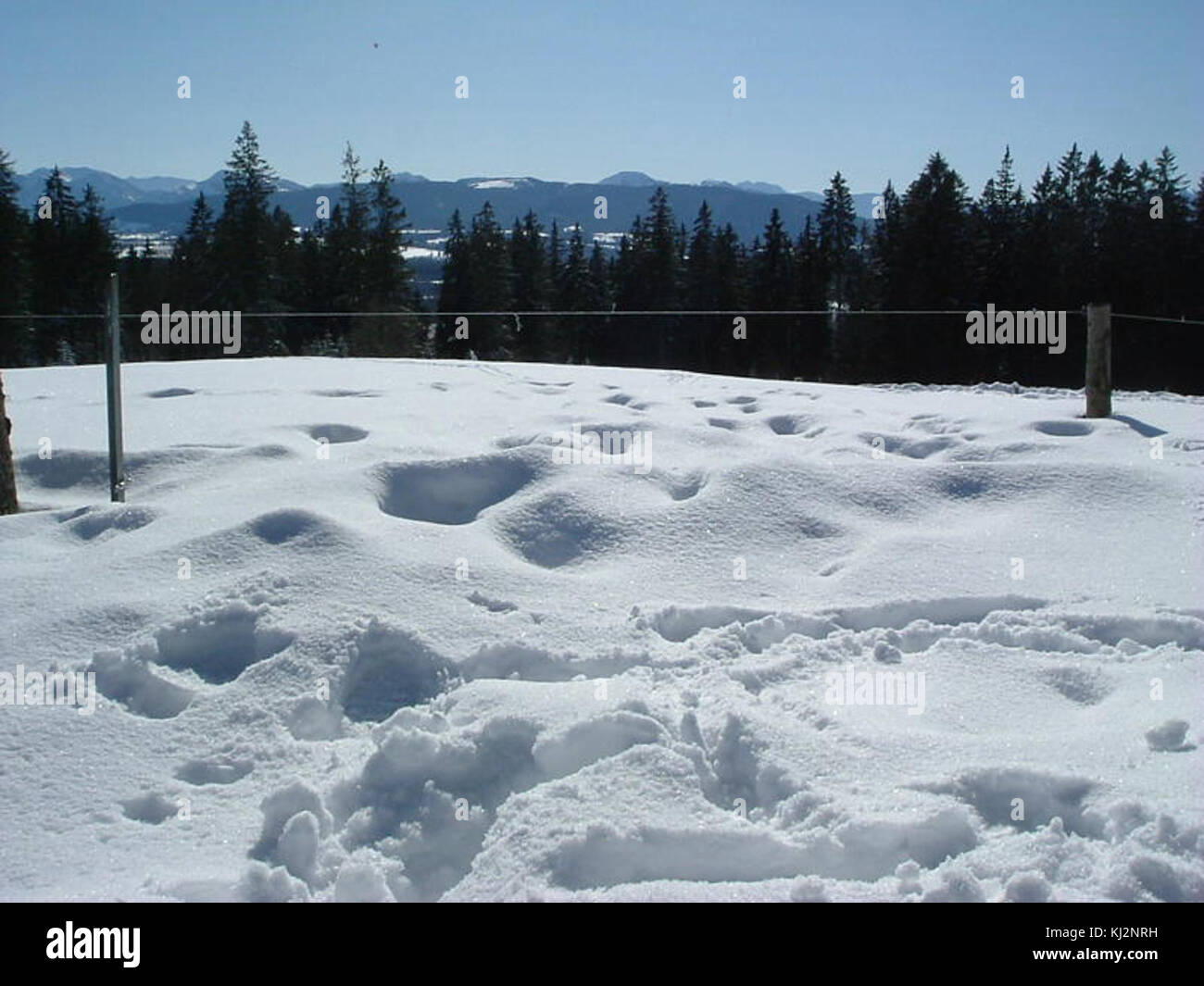 Taubenberg hi-res stock photography and images - Alamy