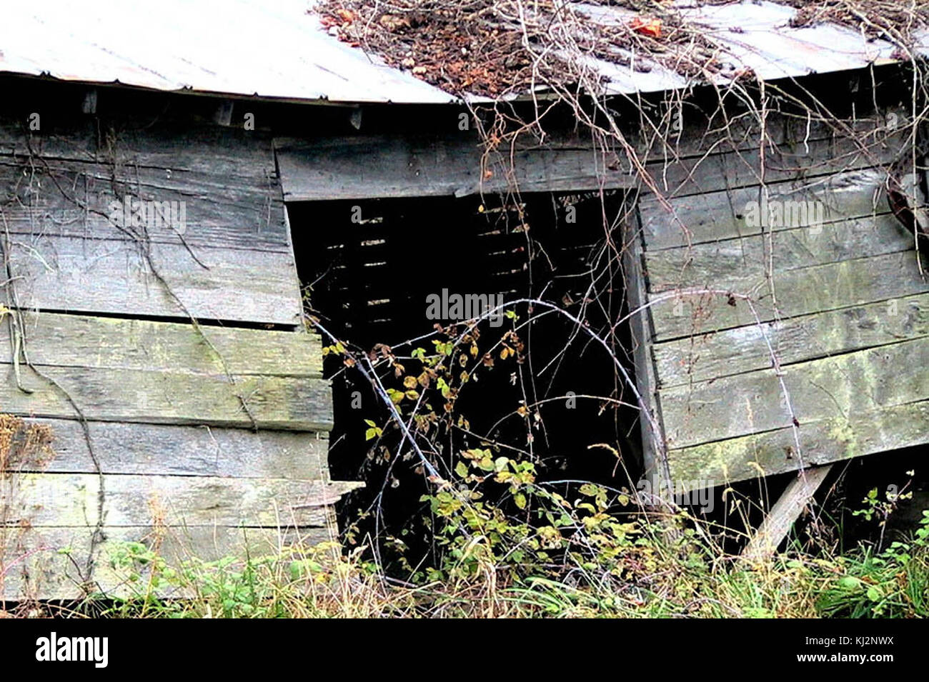Tumble down farm shed Stock Photo - Alamy