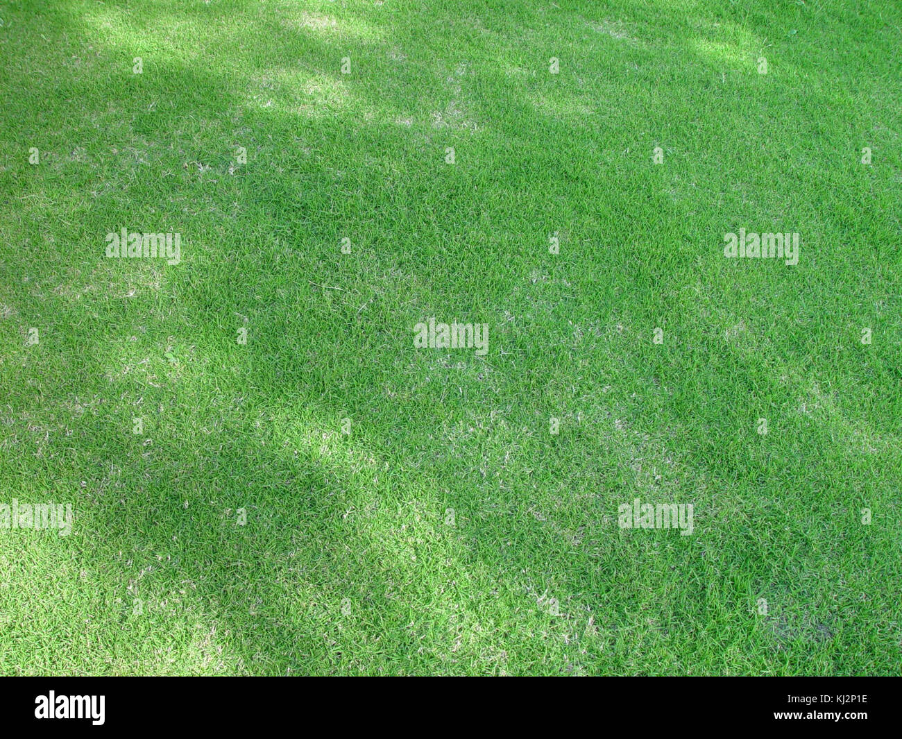 Cool shady area hi-res stock photography and images - Alamy