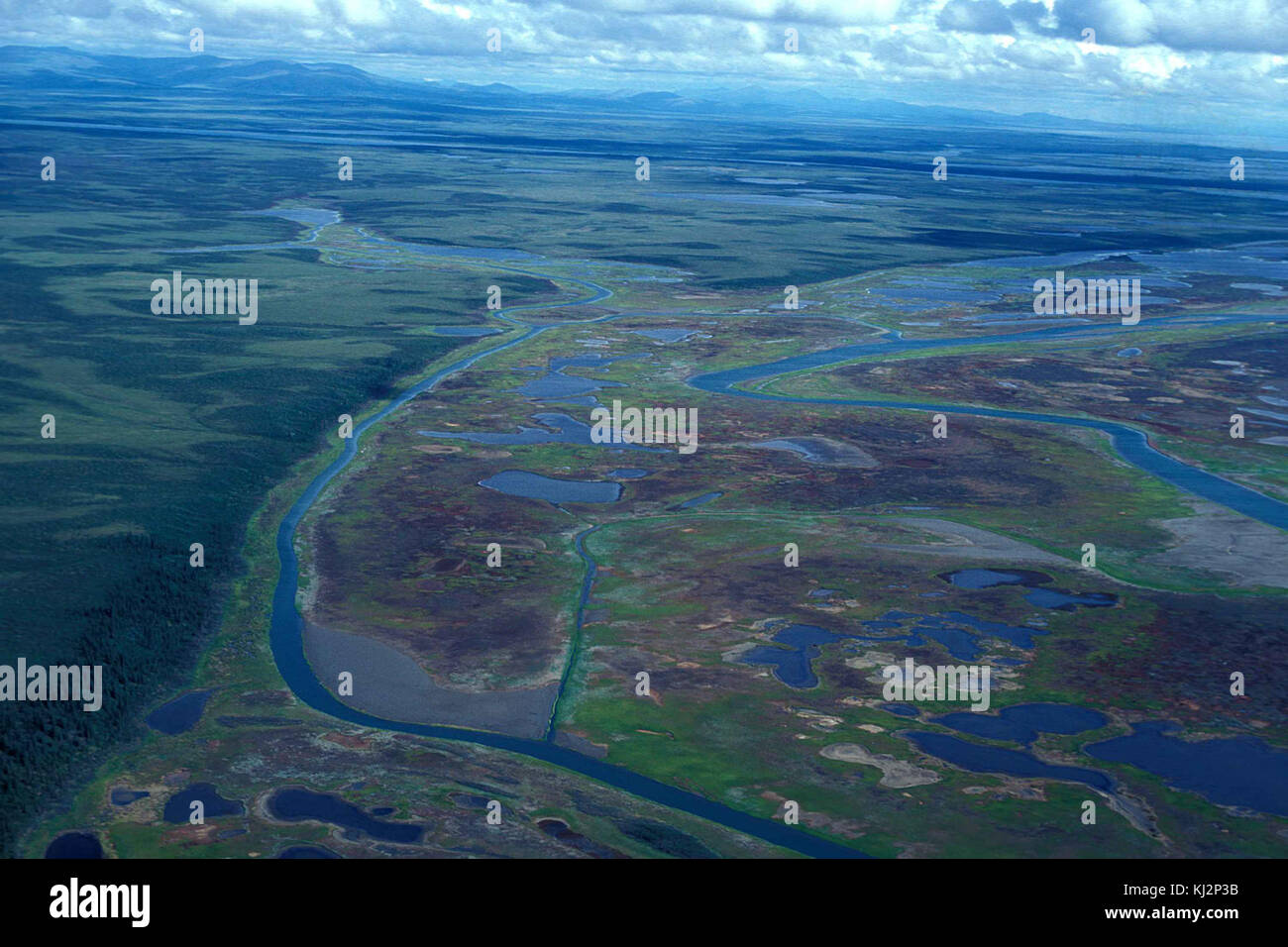 River delta swamp aerial view Stock Photo - Alamy