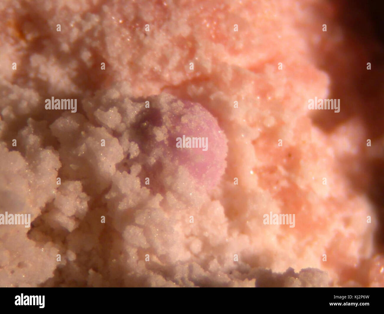 An image of two distinct minerals, Strengite and Triplite, illustrating ...