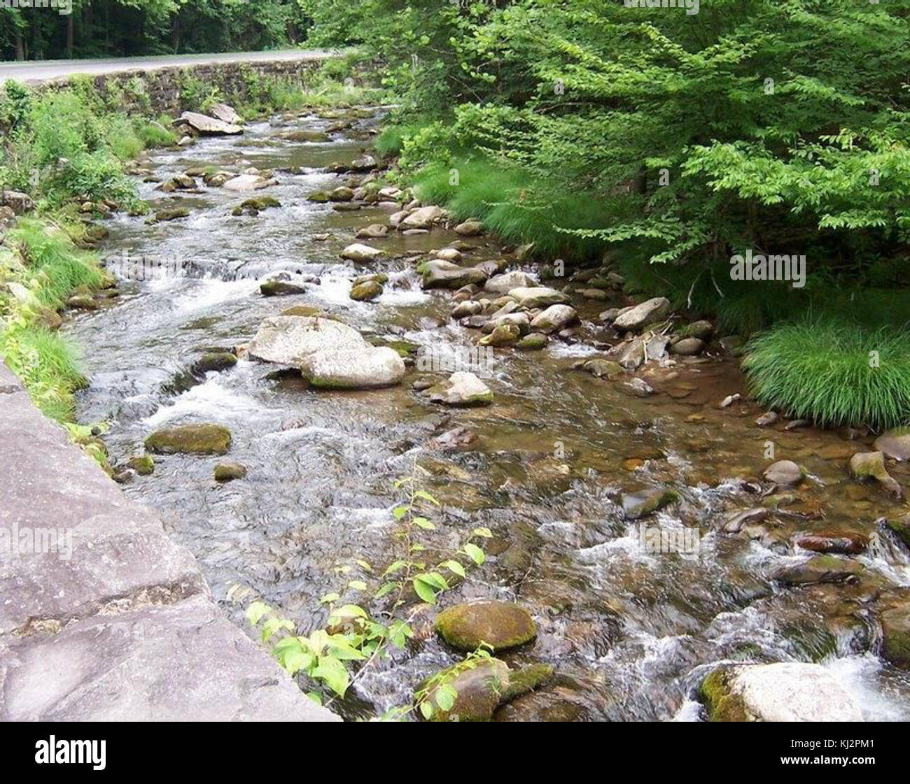 'Wild Stream' likely refers to a natural watercourse, possibly depicted ...