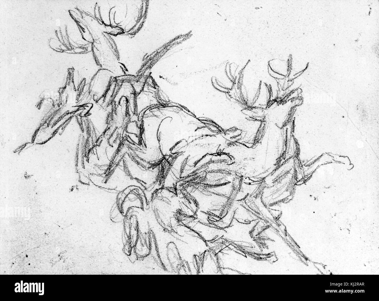 Antoine-Louis Barye - Stag Hunt - Walters 372244 Stock Photo - Alamy