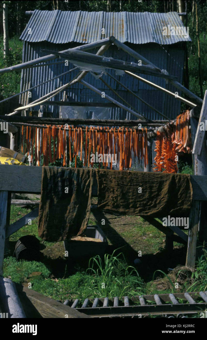 Salmon drying on racks hi-res stock photography and images - Alamy