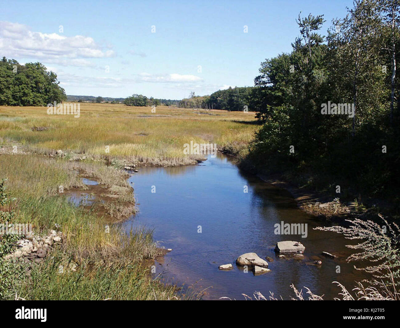 Saltwater lake scenic Stock Photo - Alamy
