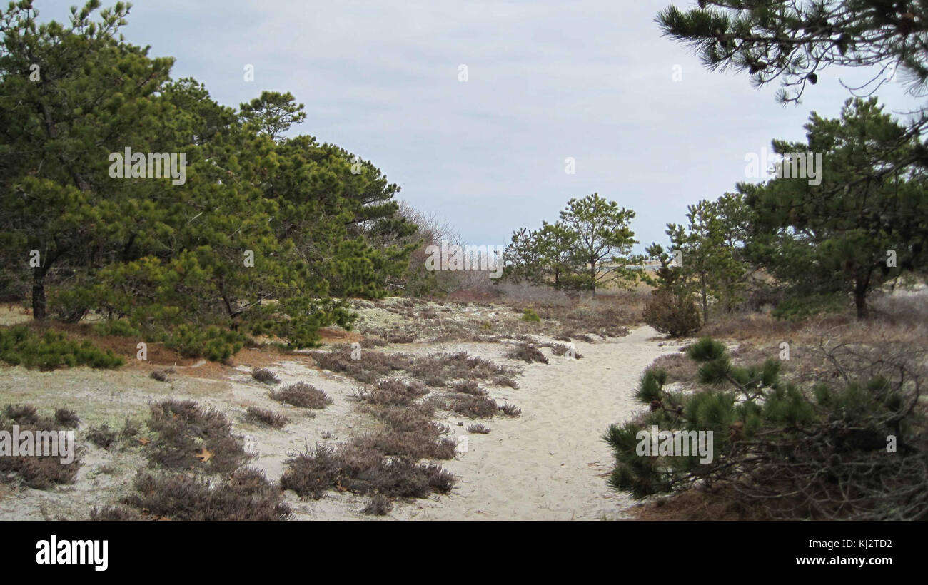 Sandy path sandy road in desert Stock Photo - Alamy
