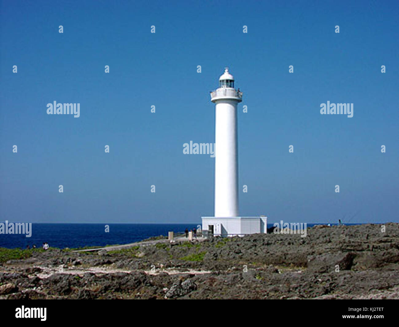 Zampa hi-res stock photography and images - Alamy