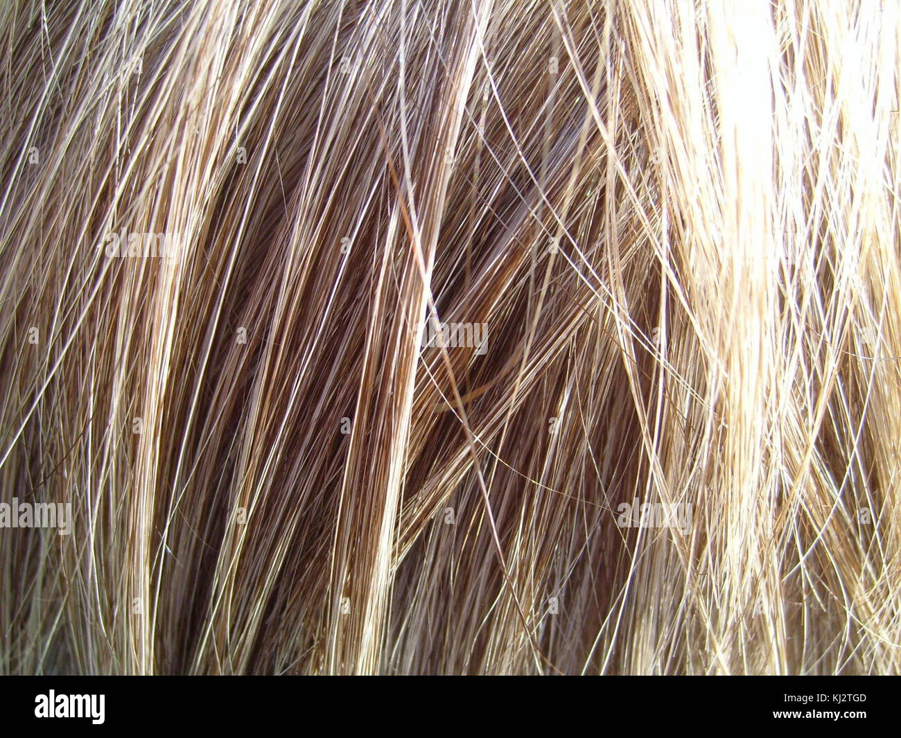Blonde hair detailed Stock Photo - Alamy