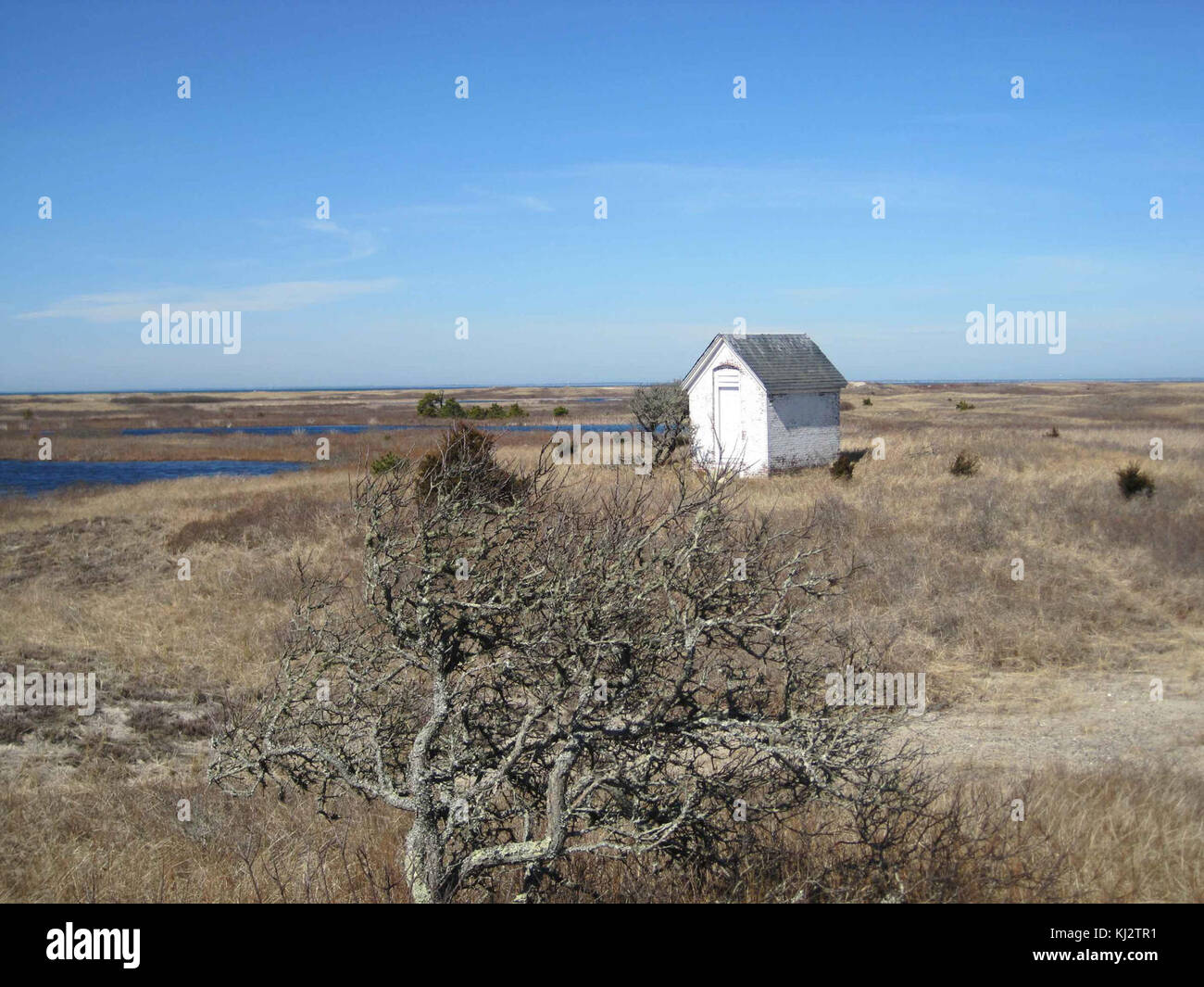 Scenic shot of national wildlife refuge on Monomoy island Stock Photo ...