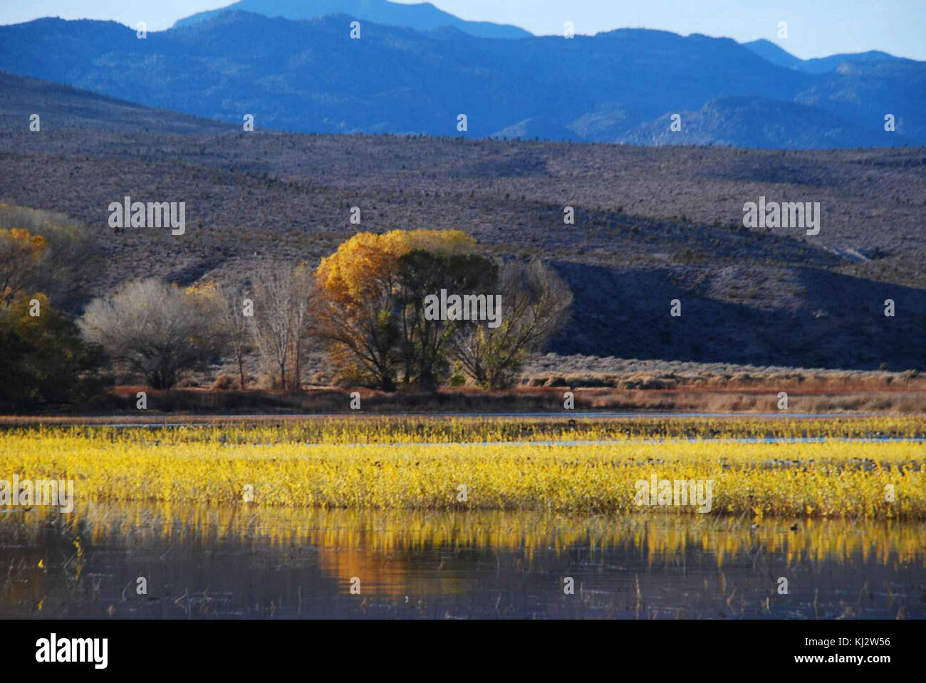 Freedom lands hi-res stock photography and images - Alamy