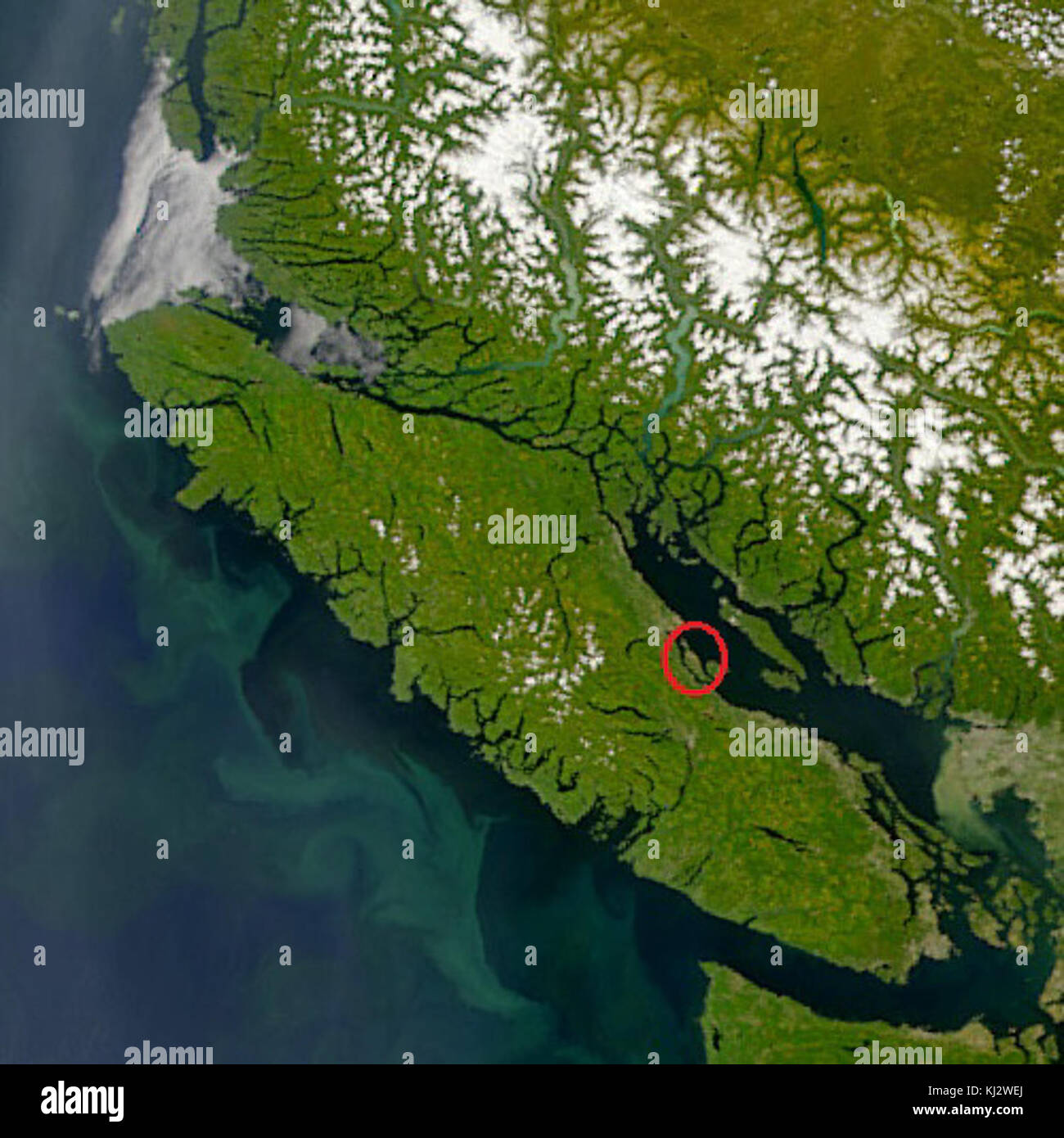 Highlight textbook hi-res stock photography and images - Alamy