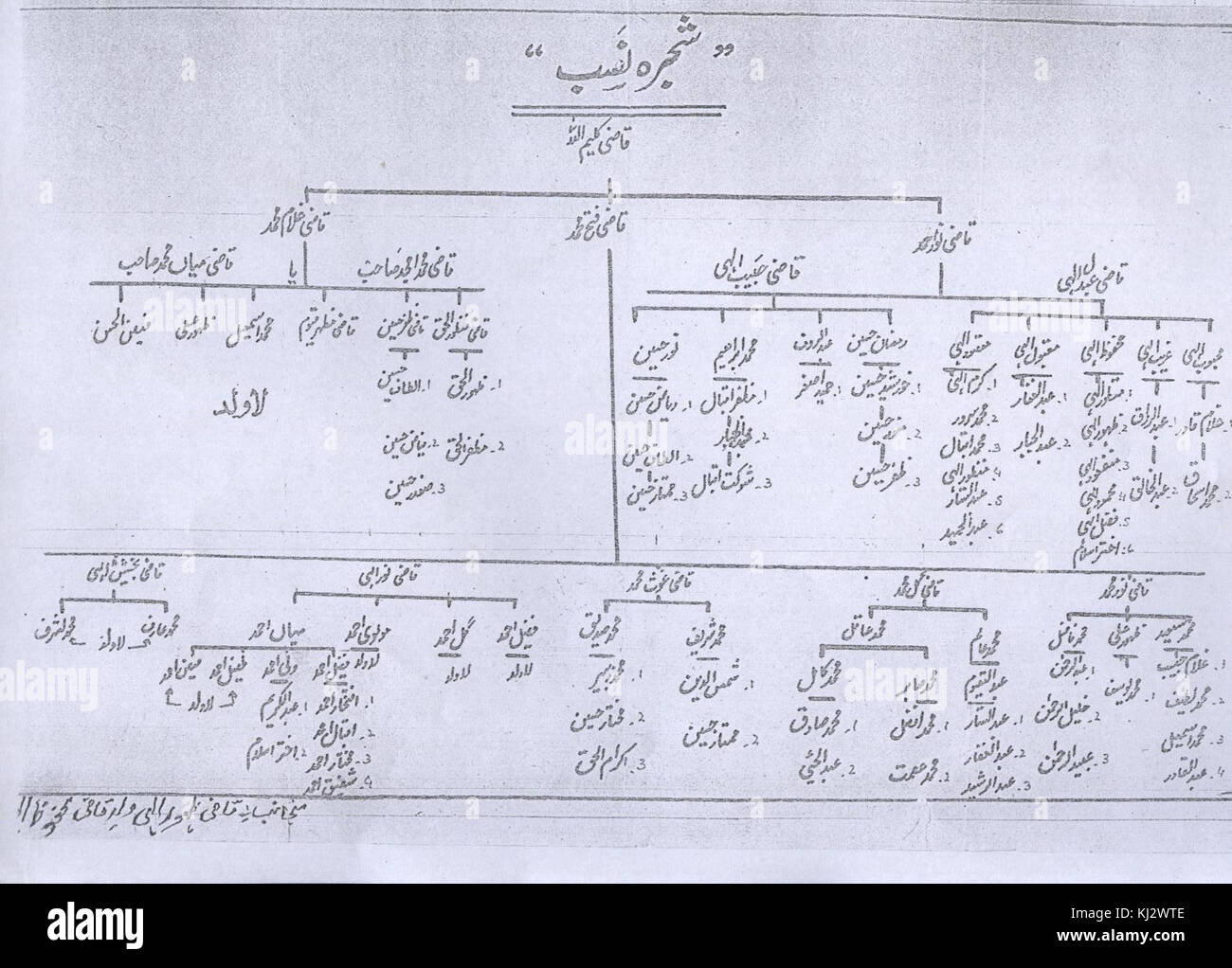 Family tree Qazis naushera Stock Photo - Alamy