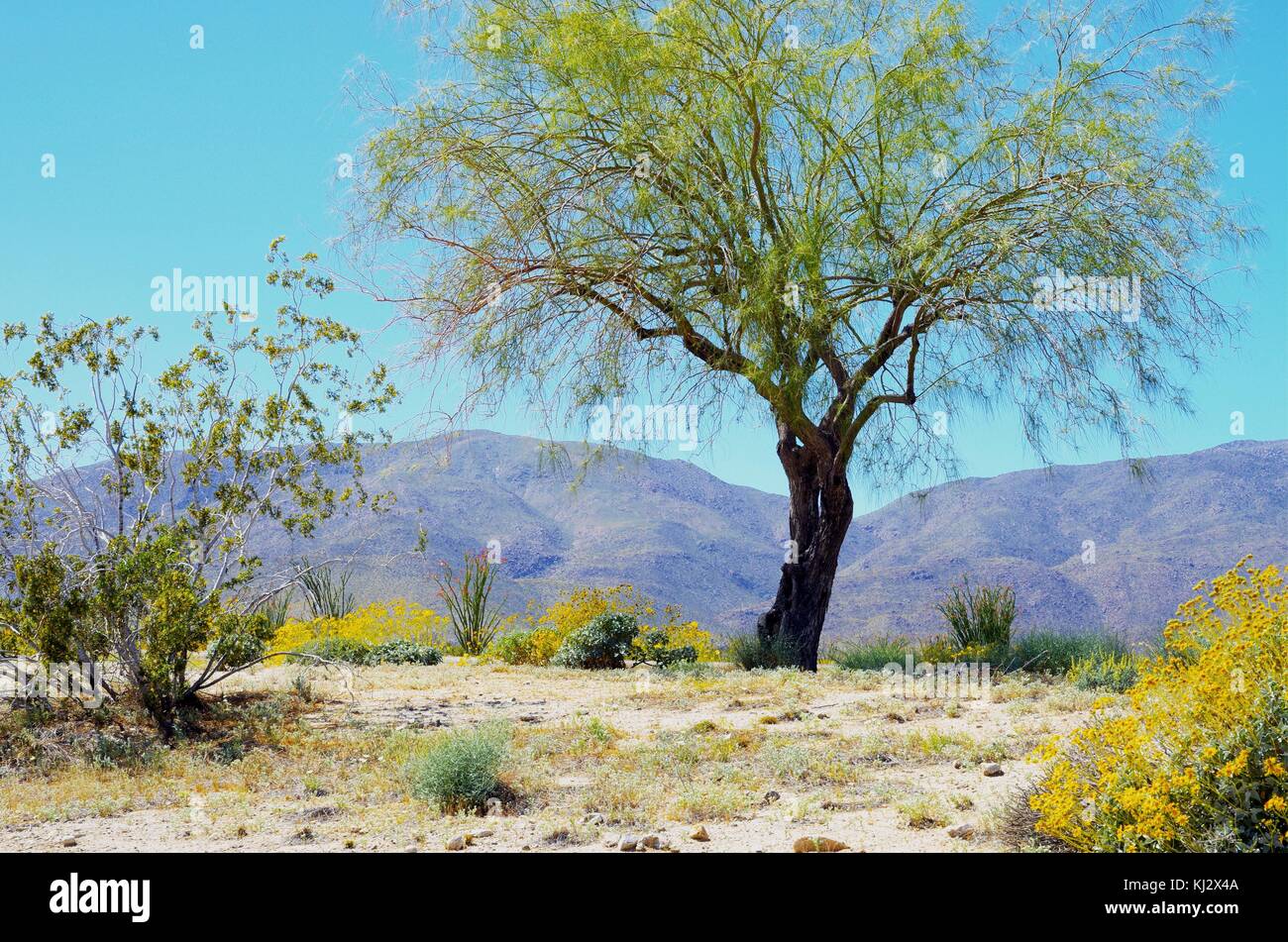 Earth Portal Official Stock Photo - Alamy