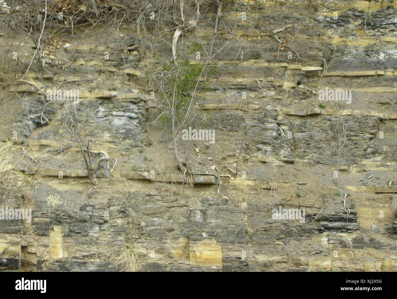 Fayetteville map hi-res stock photography and images - Alamy