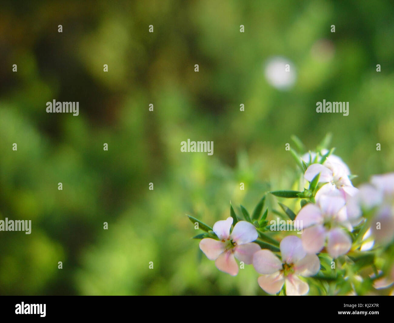 Design_patterns hi-res stock photography and images - Alamy