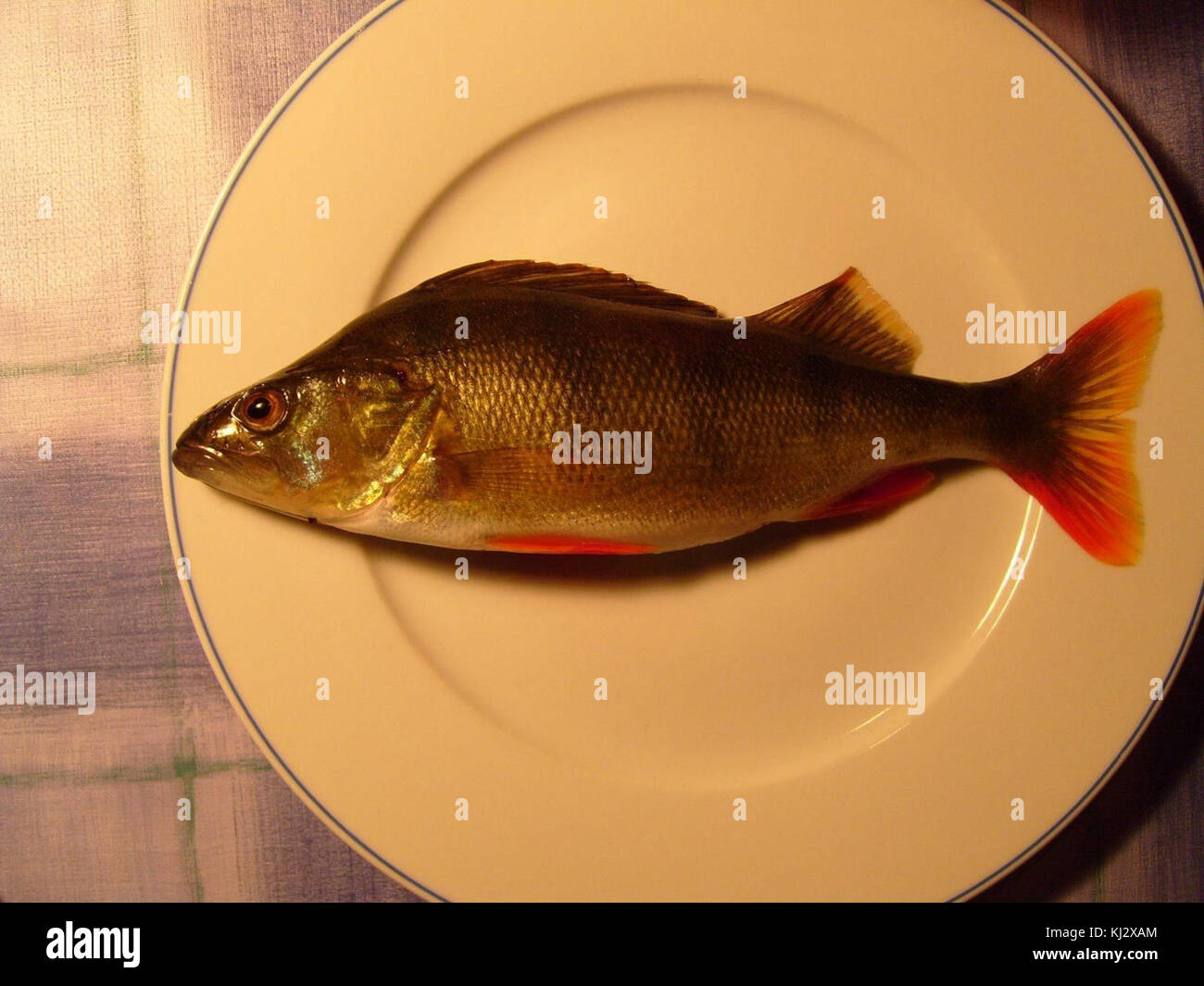Fish for dinner Stock Photo - Alamy