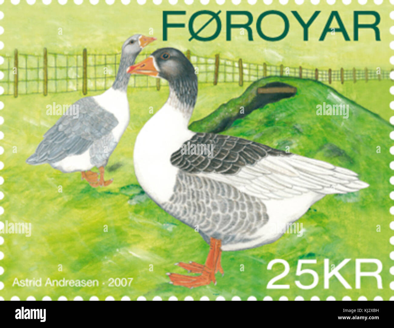 Faroese stamp 606 geese Stock Photo - Alamy