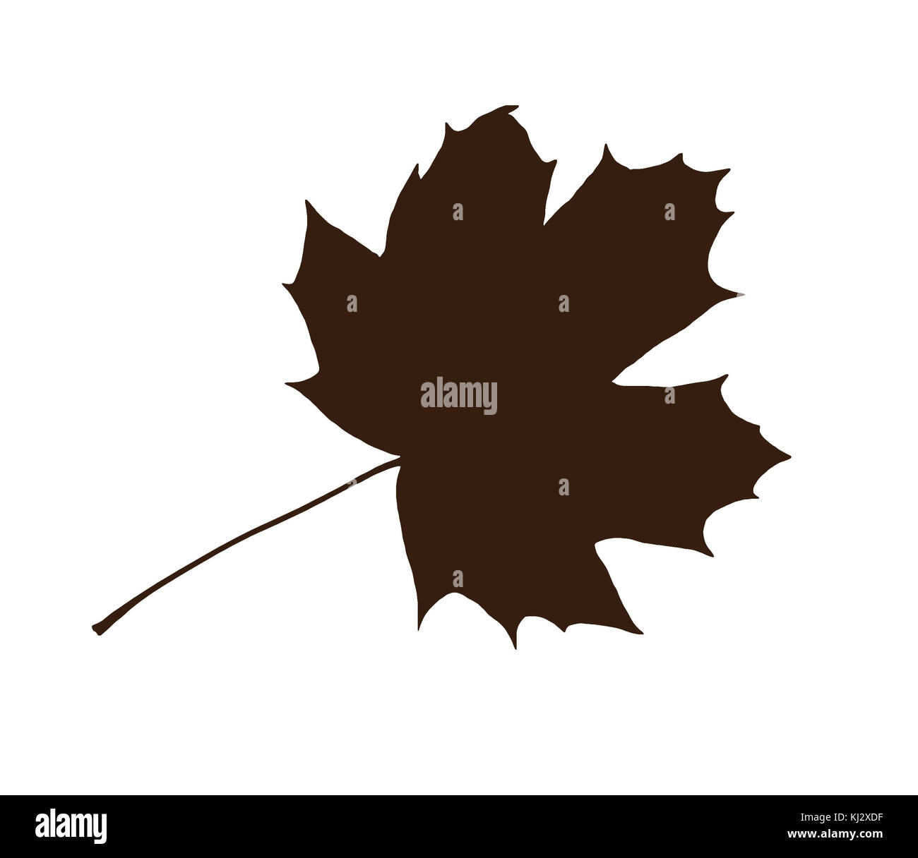 Brown shape of maple leaf isolated on the white background. Symbolic ...