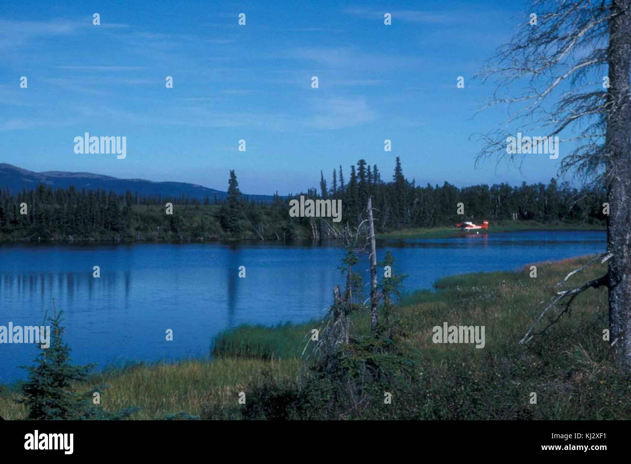 Selawik hi-res stock photography and images - Alamy