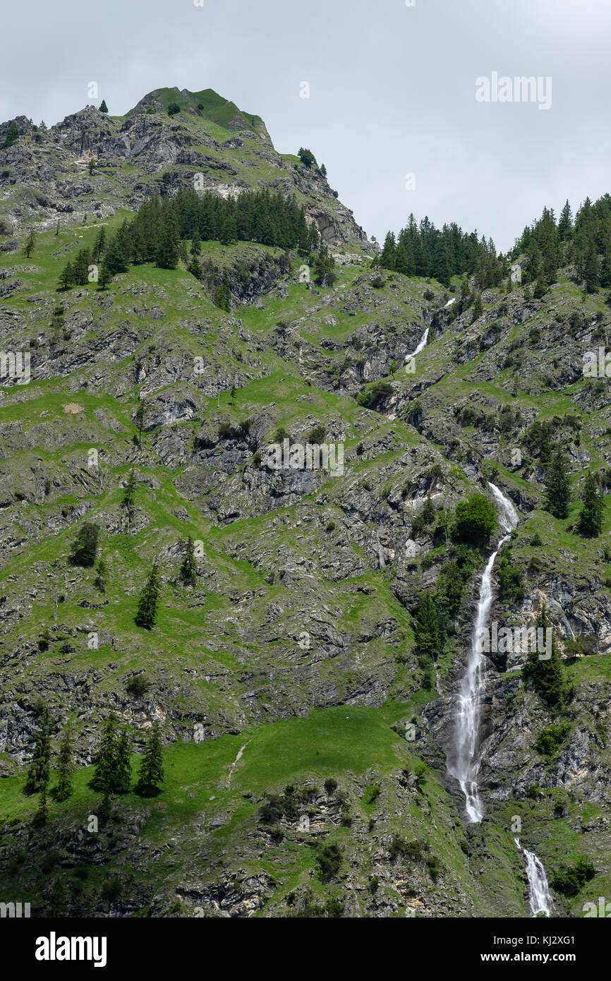 Mountain wiht conifers and waterfall in Bavaria Germany in vertical ...