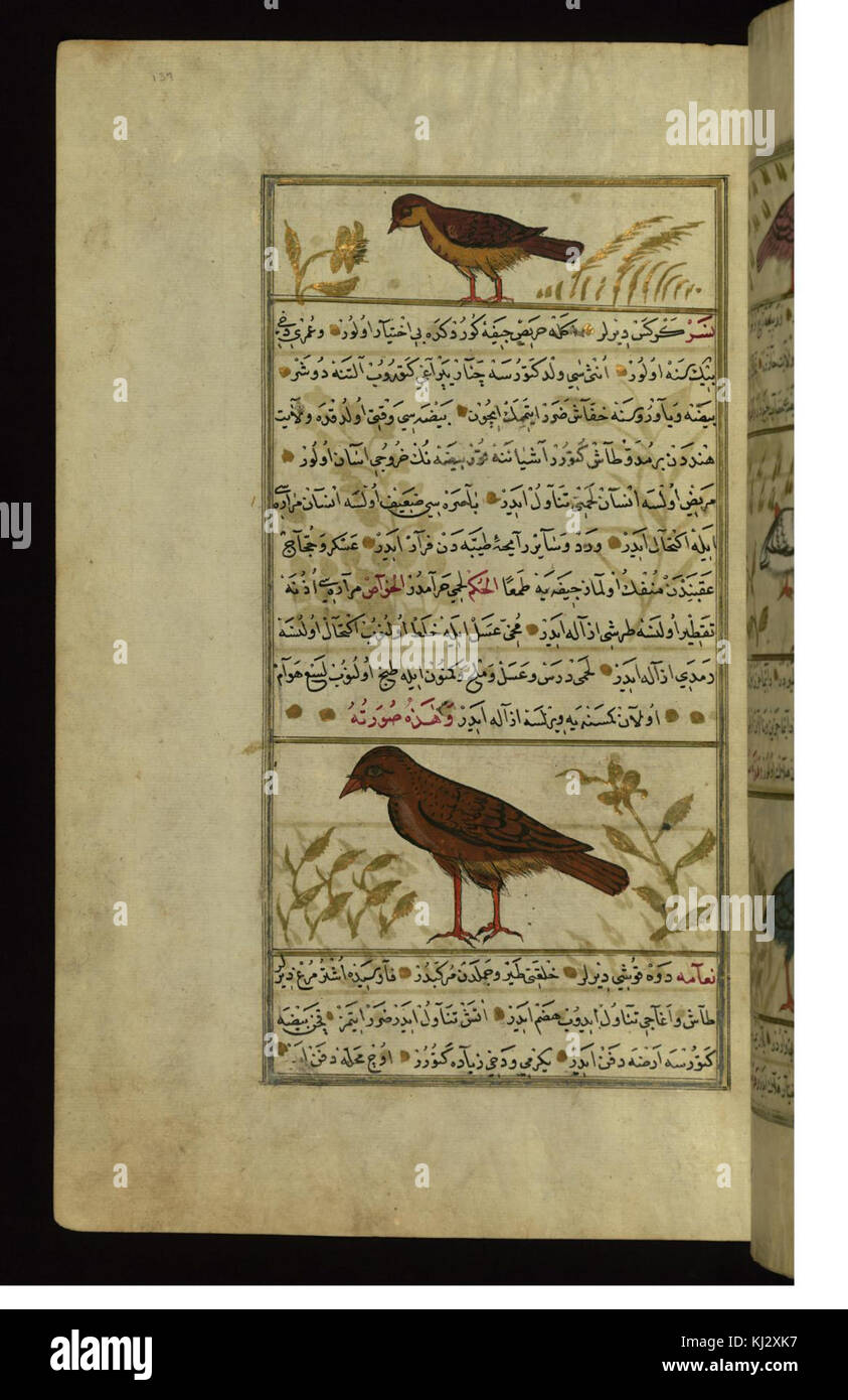 Muhammad ibn Muhammad Shakir Ruzmah-'i Nathani - A Bird Called Maka and ...
