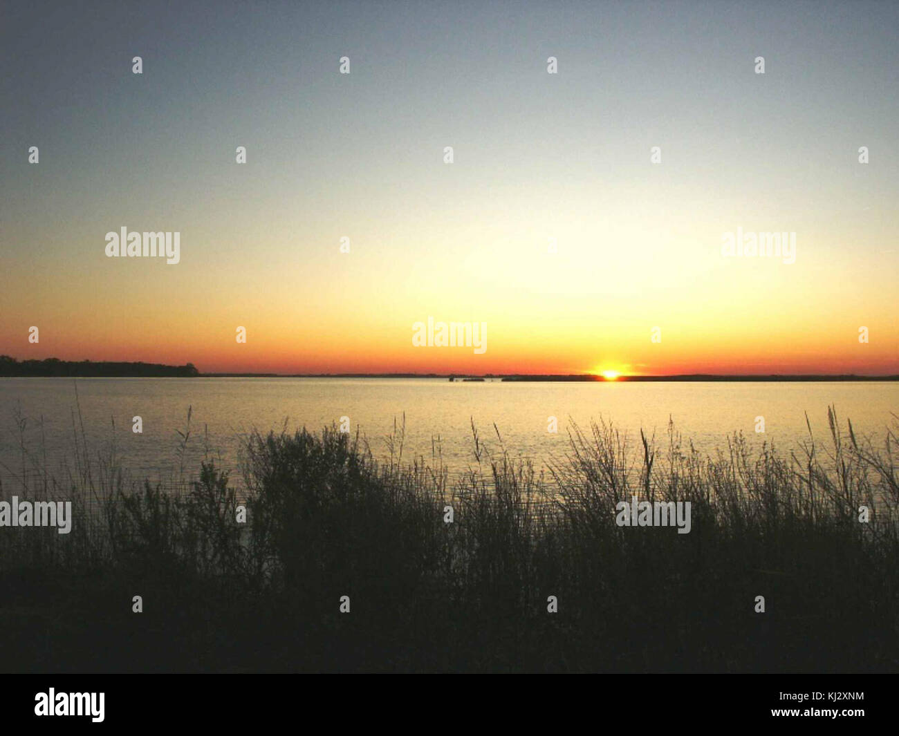 Setting Sun at swamp Stock Photo - Alamy