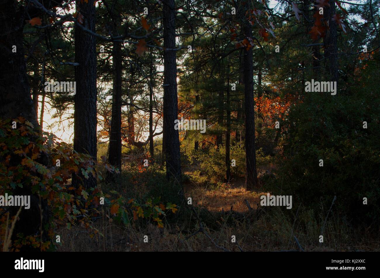 Earth Portal Official Stock Photo - Alamy
