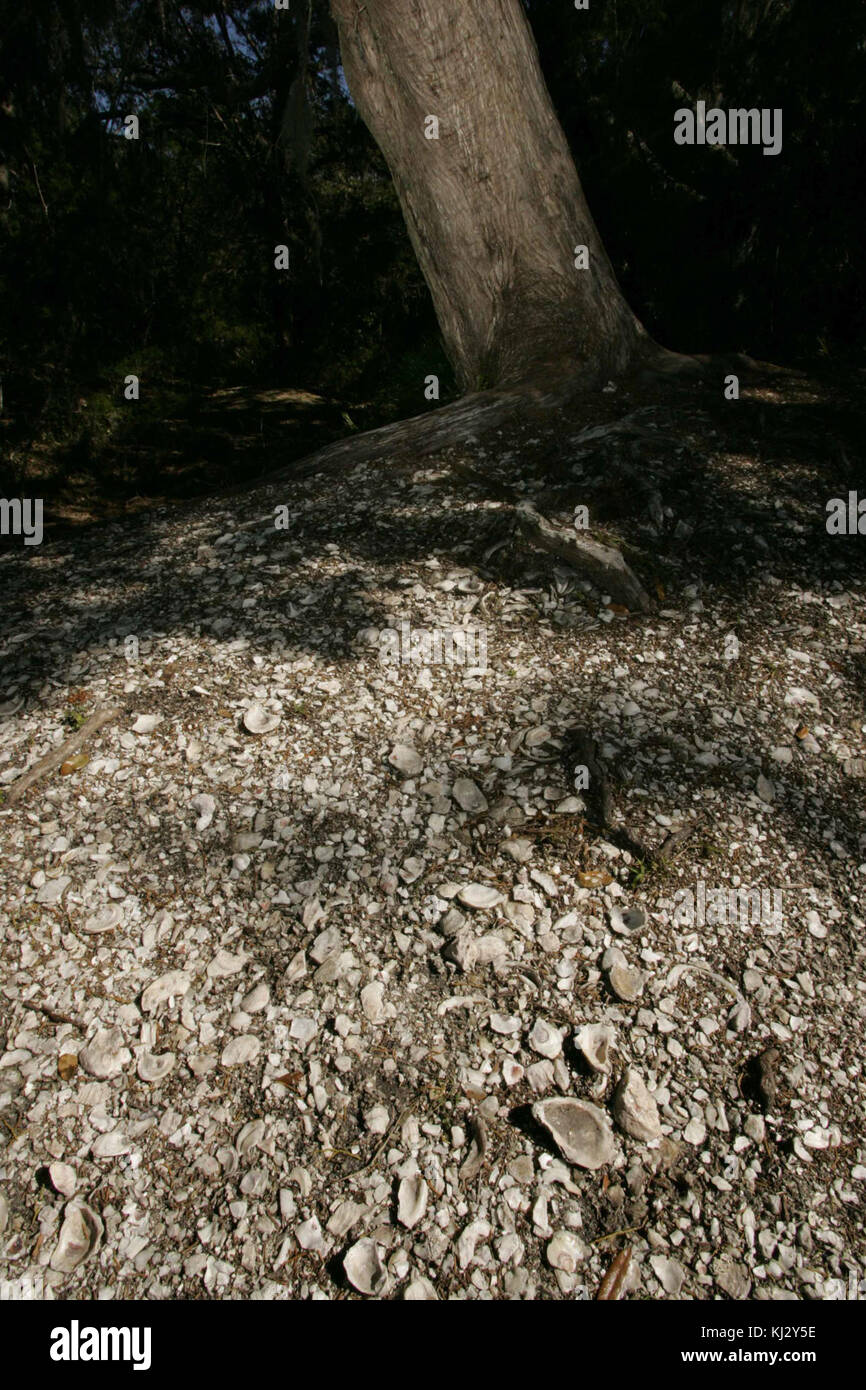Ancient shell structures hi-res stock photography and images - Alamy
