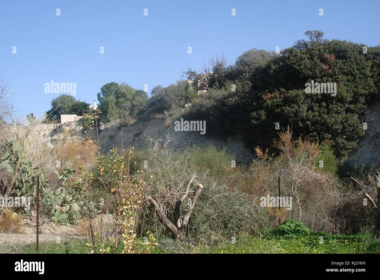 Maroni cyprus hi-res stock photography and images - Alamy