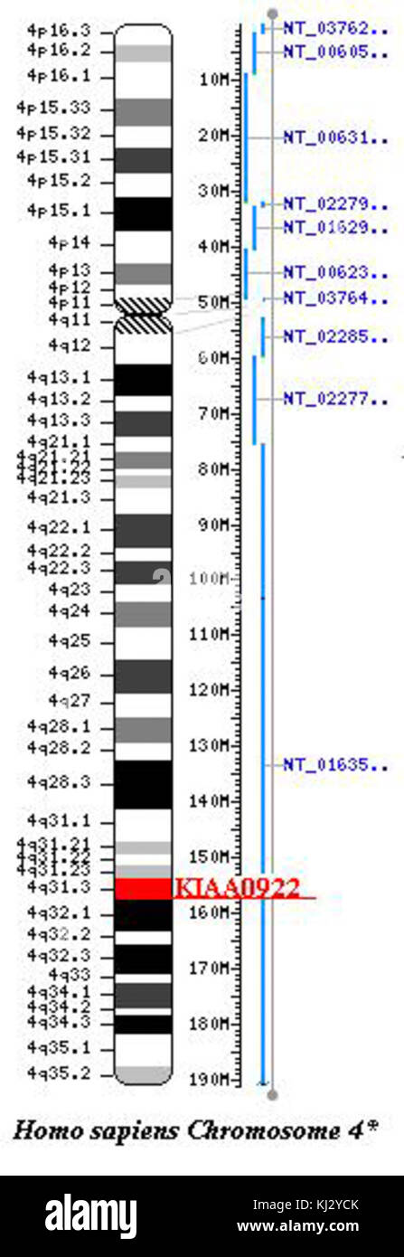 Chromosome book hi-res stock photography and images - Alamy