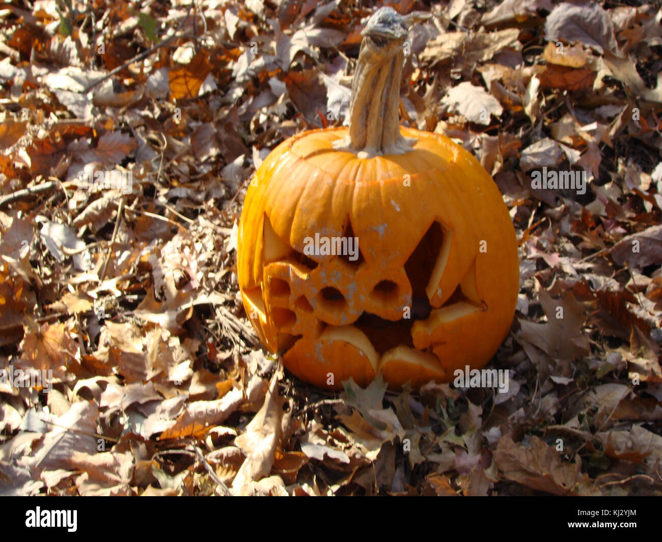Jack o' lantern history hi-res stock photography and images - Alamy