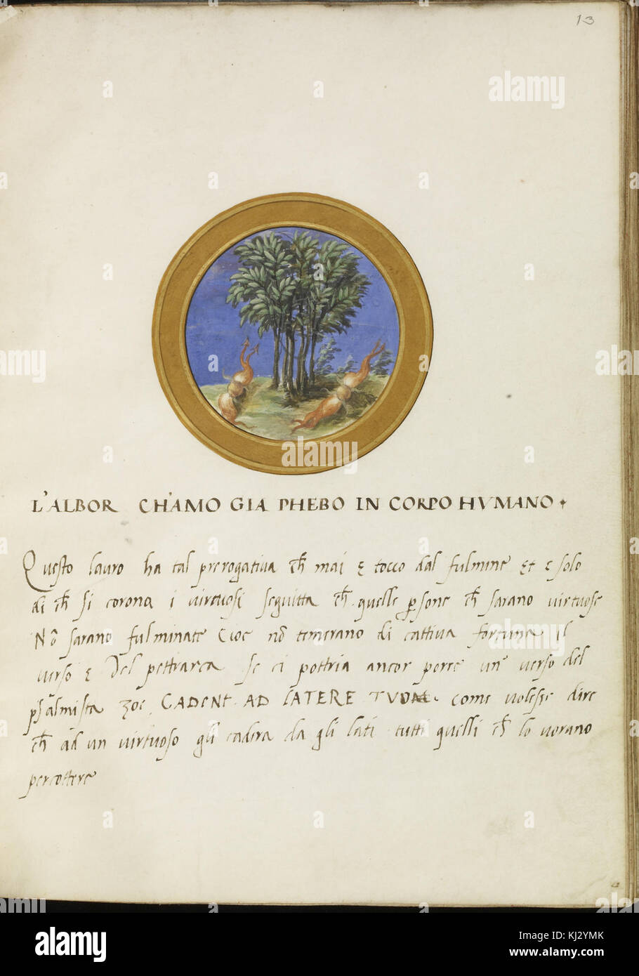 Italian - Leaf from Emblem Book - Walters W47613R - Open Obverse Stock ...