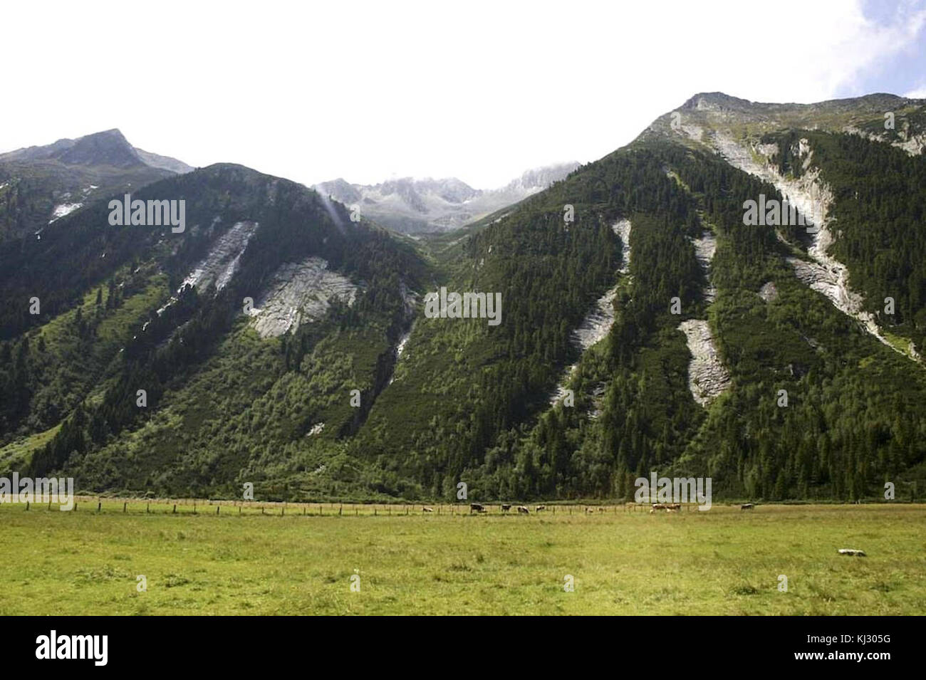 Sumer illustration hi-res stock photography and images - Alamy