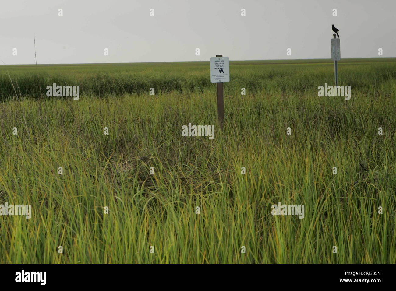 Sign in high green grass Stock Photo - Alamy