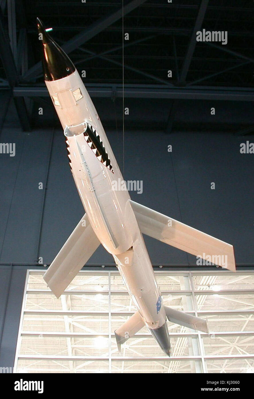 Lightning bug firebee Stock Photo - Alamy