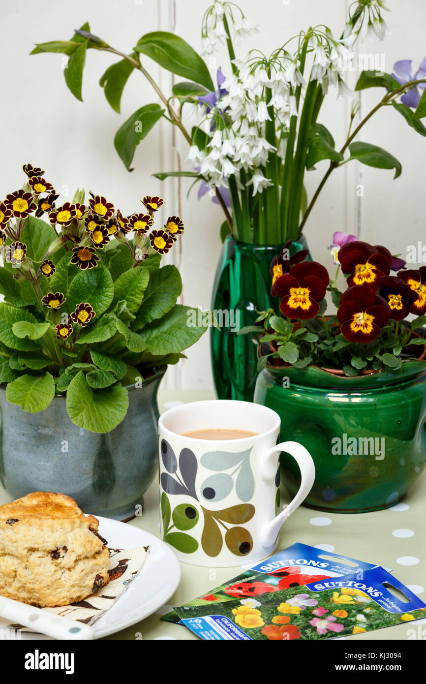 Spring tea hi-res stock photography and images - Alamy