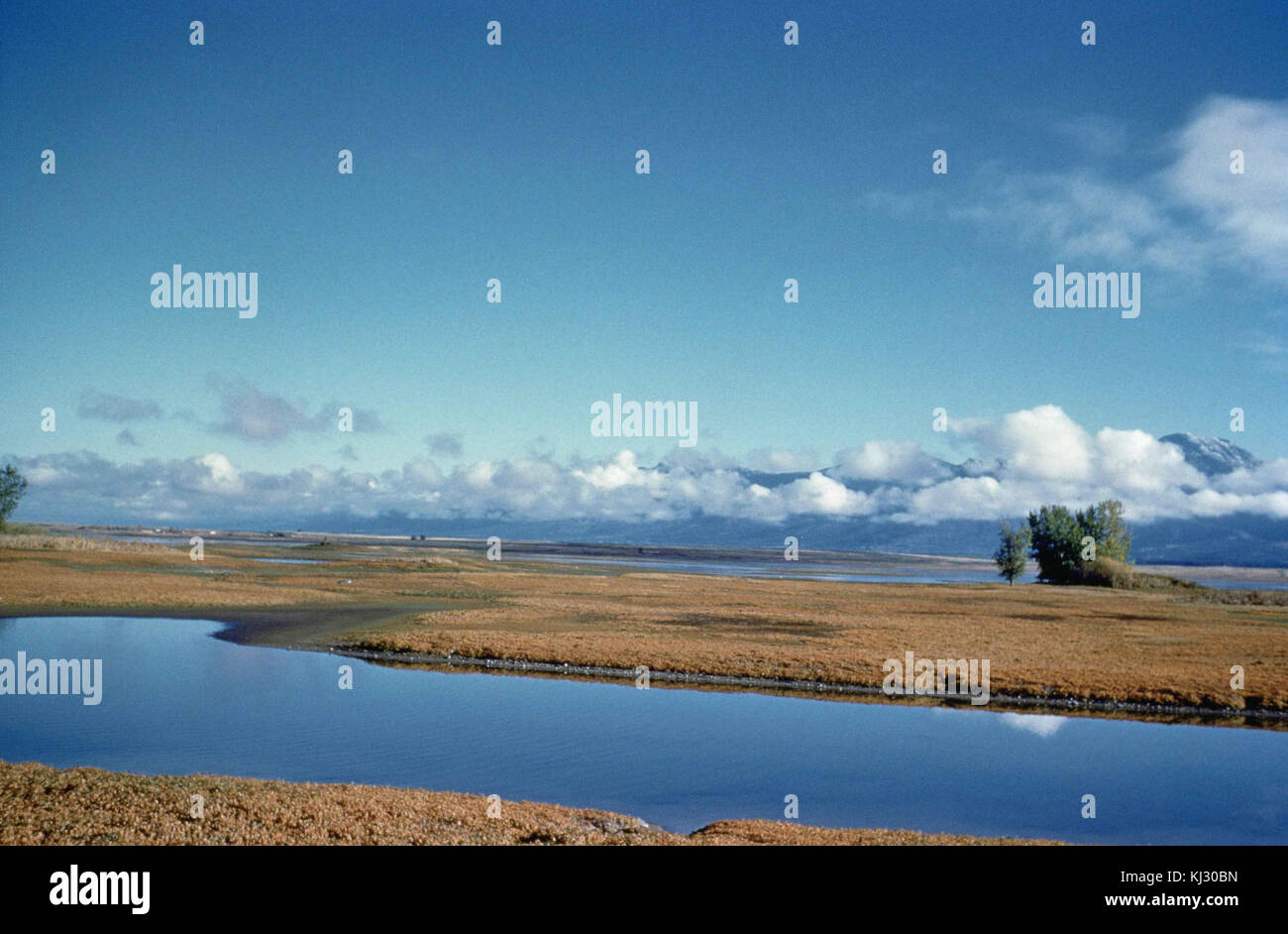Landscape photography of marsh hi-res stock photography and images - Alamy