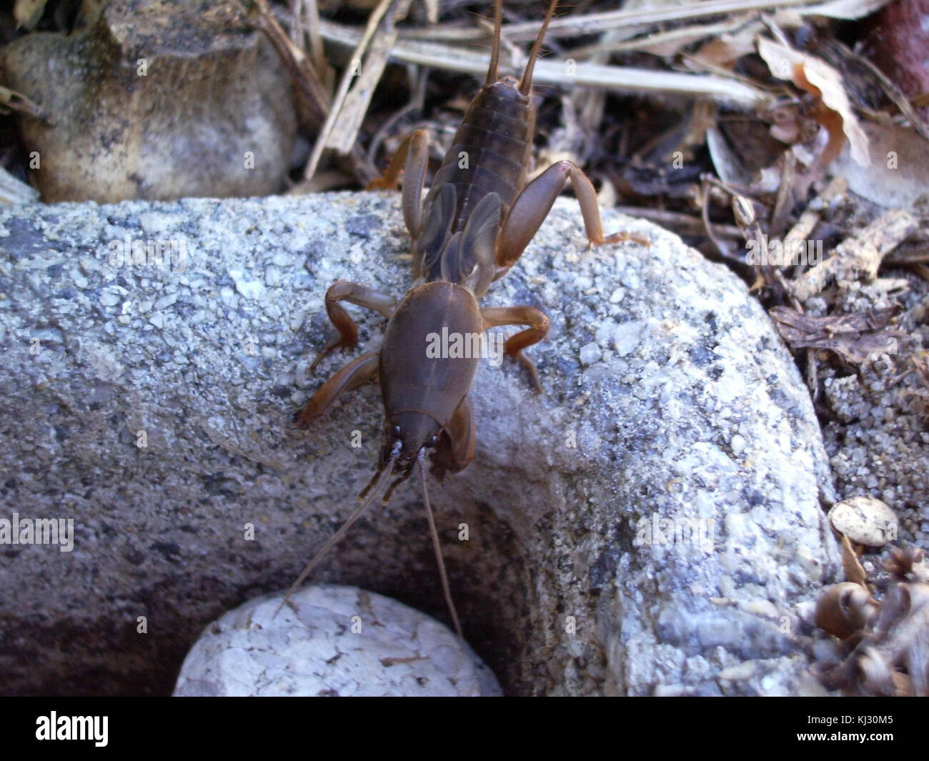 Loamy soil hi-res stock photography and images - Alamy