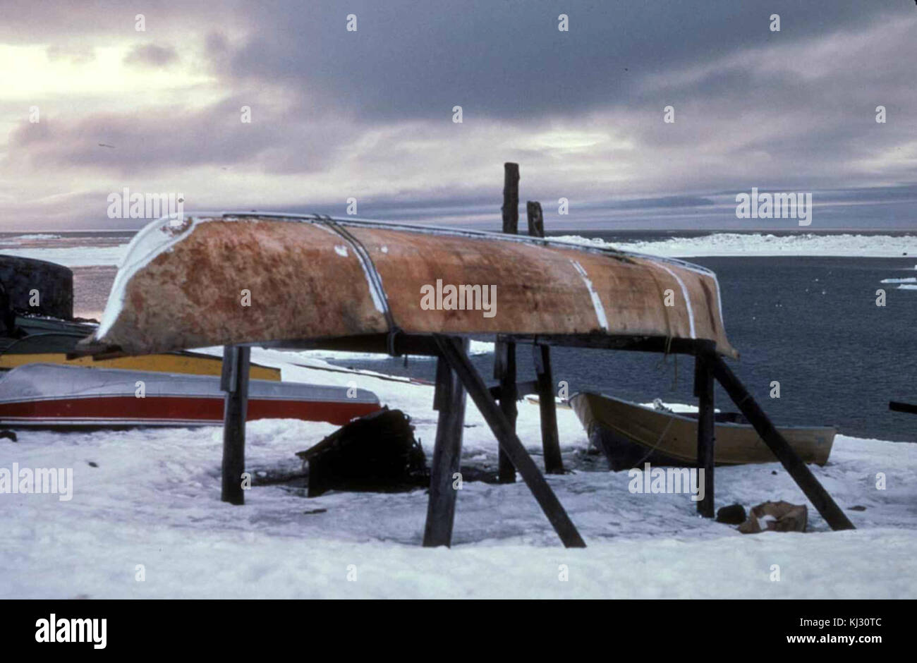 Skin covered boat hi-res stock photography and images - Alamy