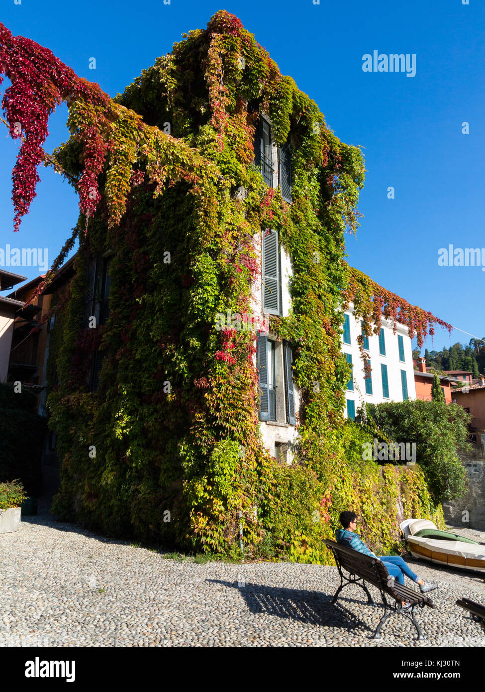 Luxury home covered with green plants and flowers, beautiful villa on ...