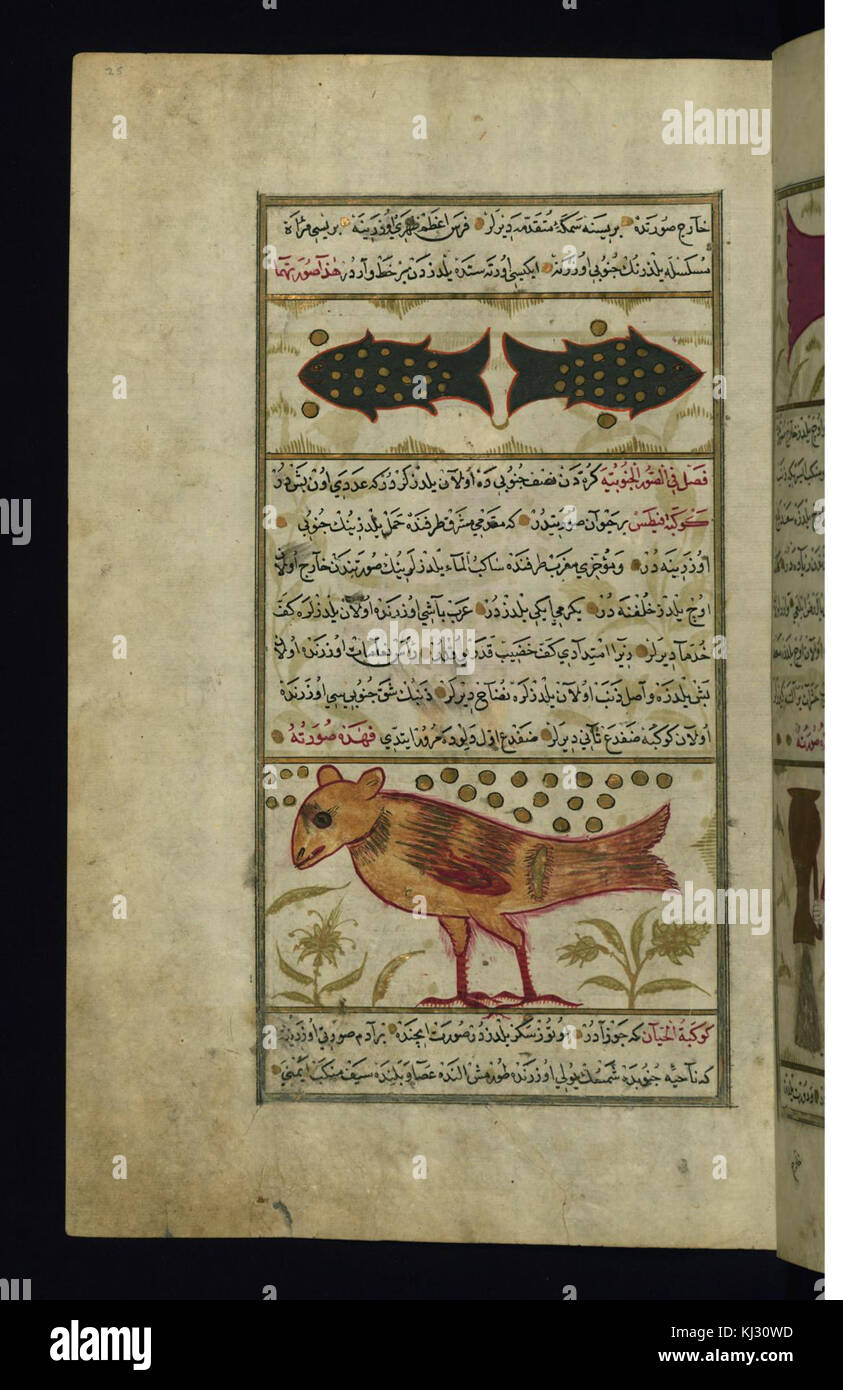 Muhammad ibn Muhammad Shakir Ruzmah-'i Nathani - Pisces and Cetus ...