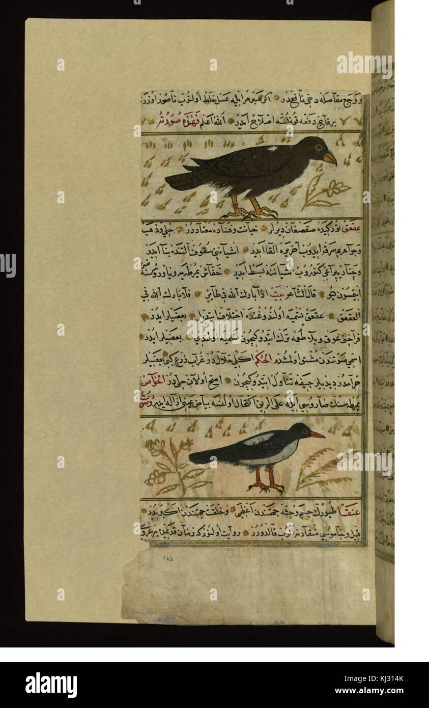 Muhammad ibn Muhammad Shakir Ruzmah-'i Nathani - An Eagle and a Magpie ...