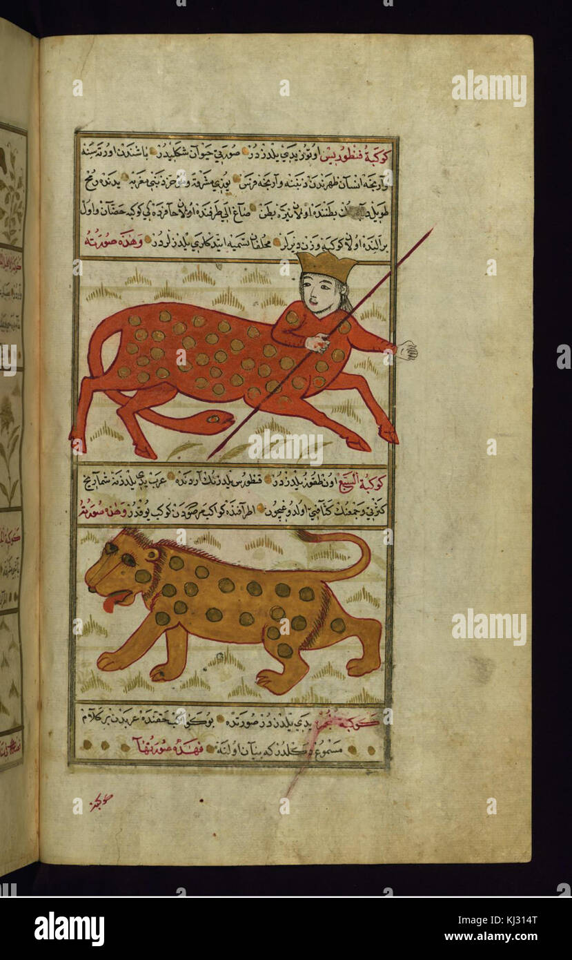 Muhammad ibn Muhammad Shakir Ruzmah-'i Nathani - Centaurus and Lupus ...