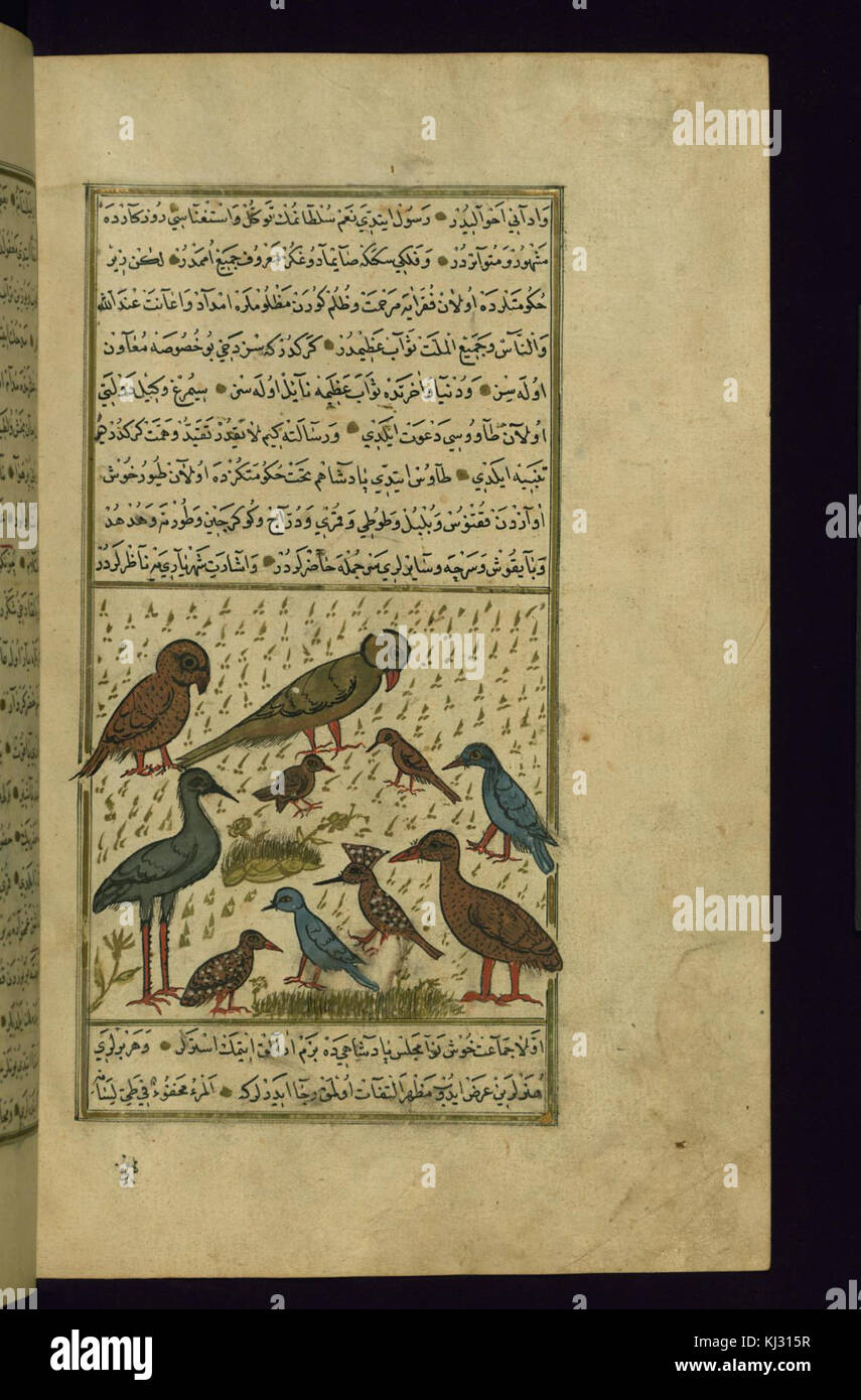 This manuscript illustration by Muhammad ibn Muhammad Shakir Ruzmah-'i ...