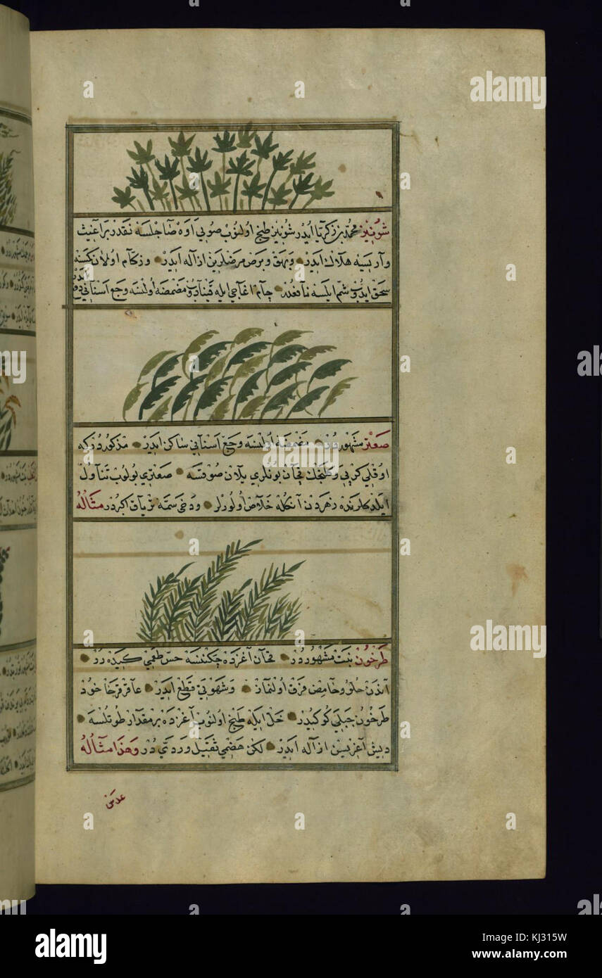 Muhammad ibn Muhammad Shakir Ruzmah-'i Nathani - Darnel, Sesame, and ...