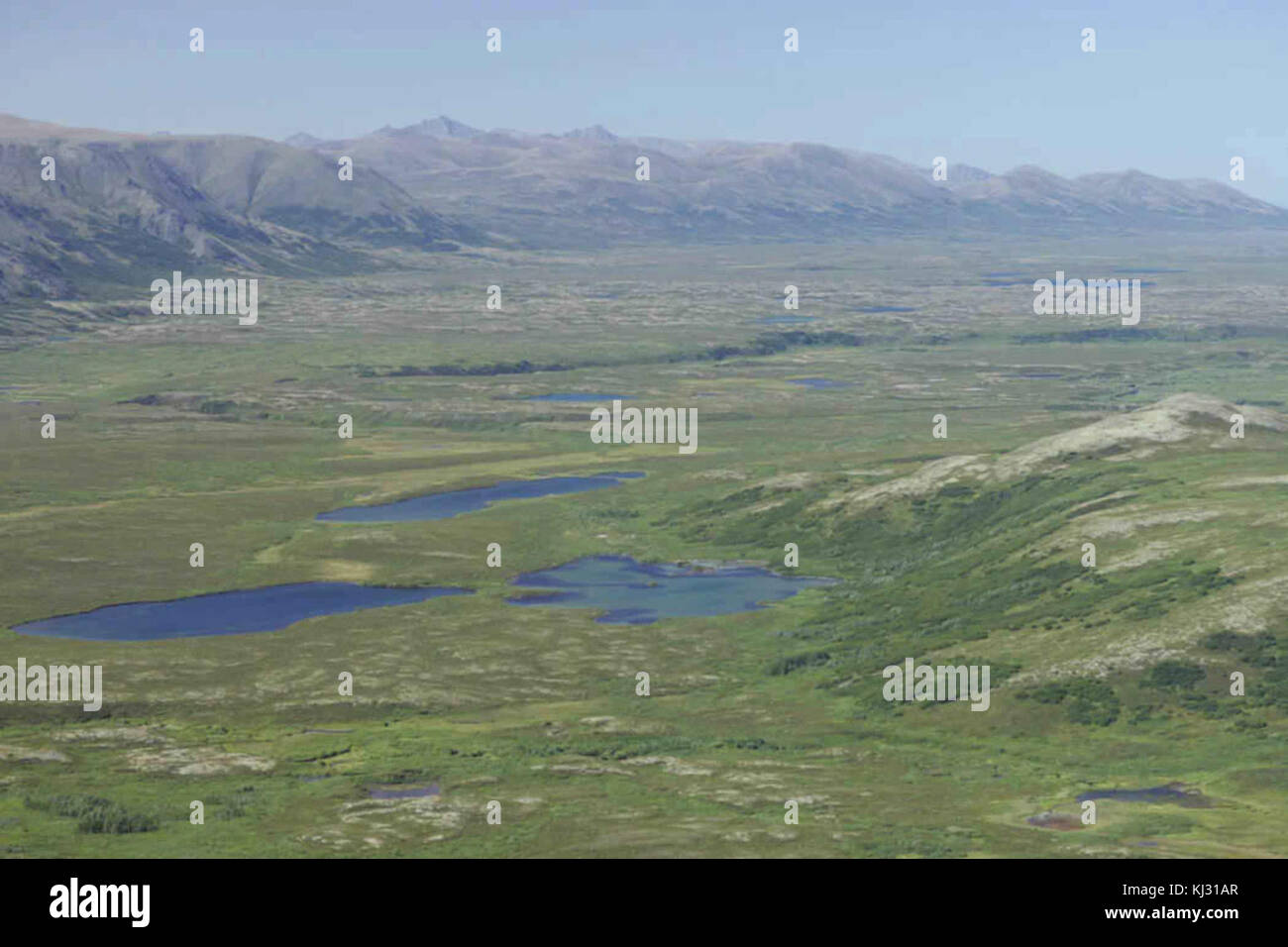 Small lakes in green fields Stock Photo - Alamy