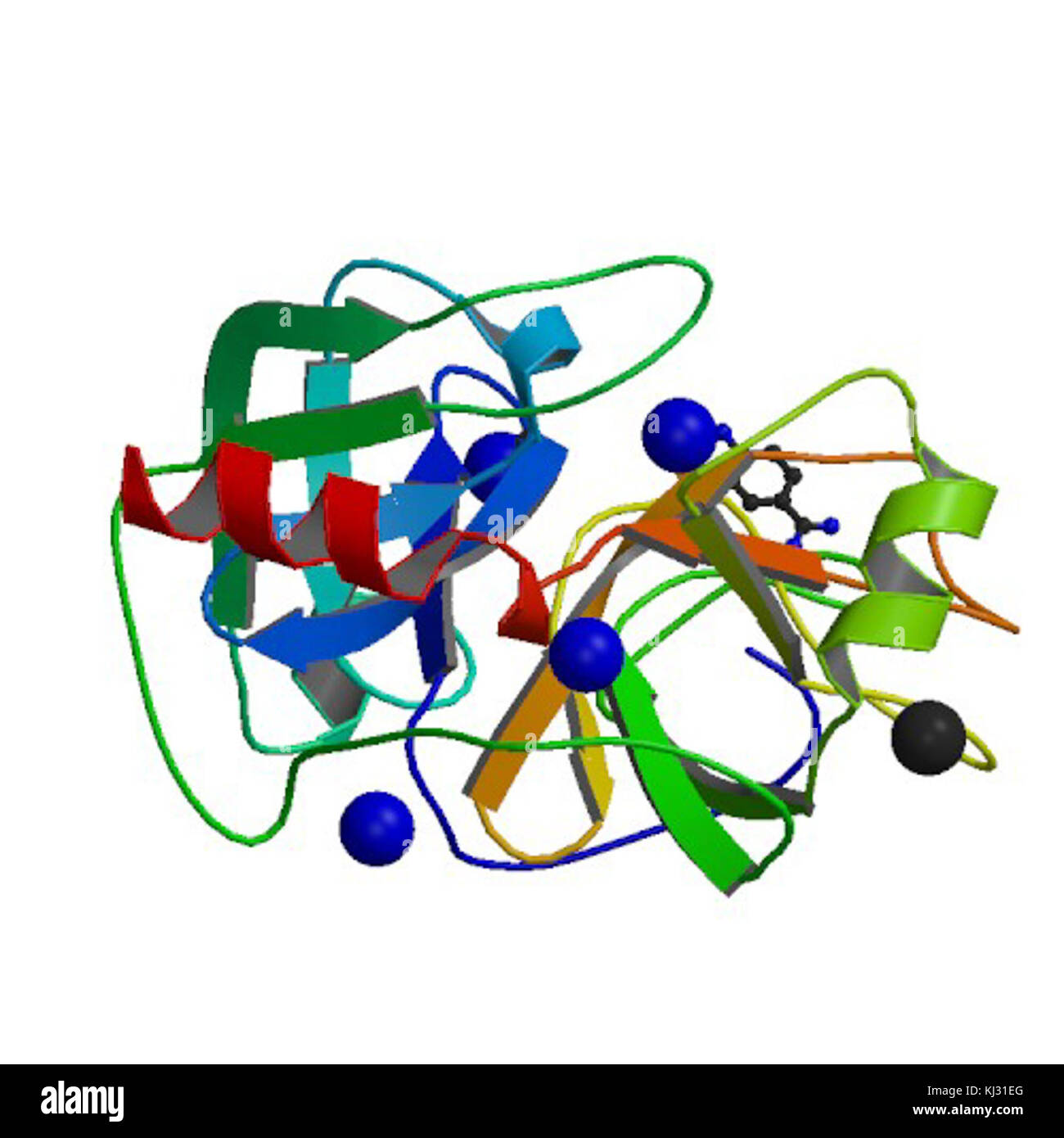 PBB Protein KLK4 image Stock Photo - Alamy