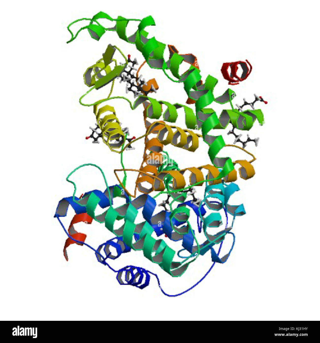 Protein identification hi-res stock photography and images - Alamy