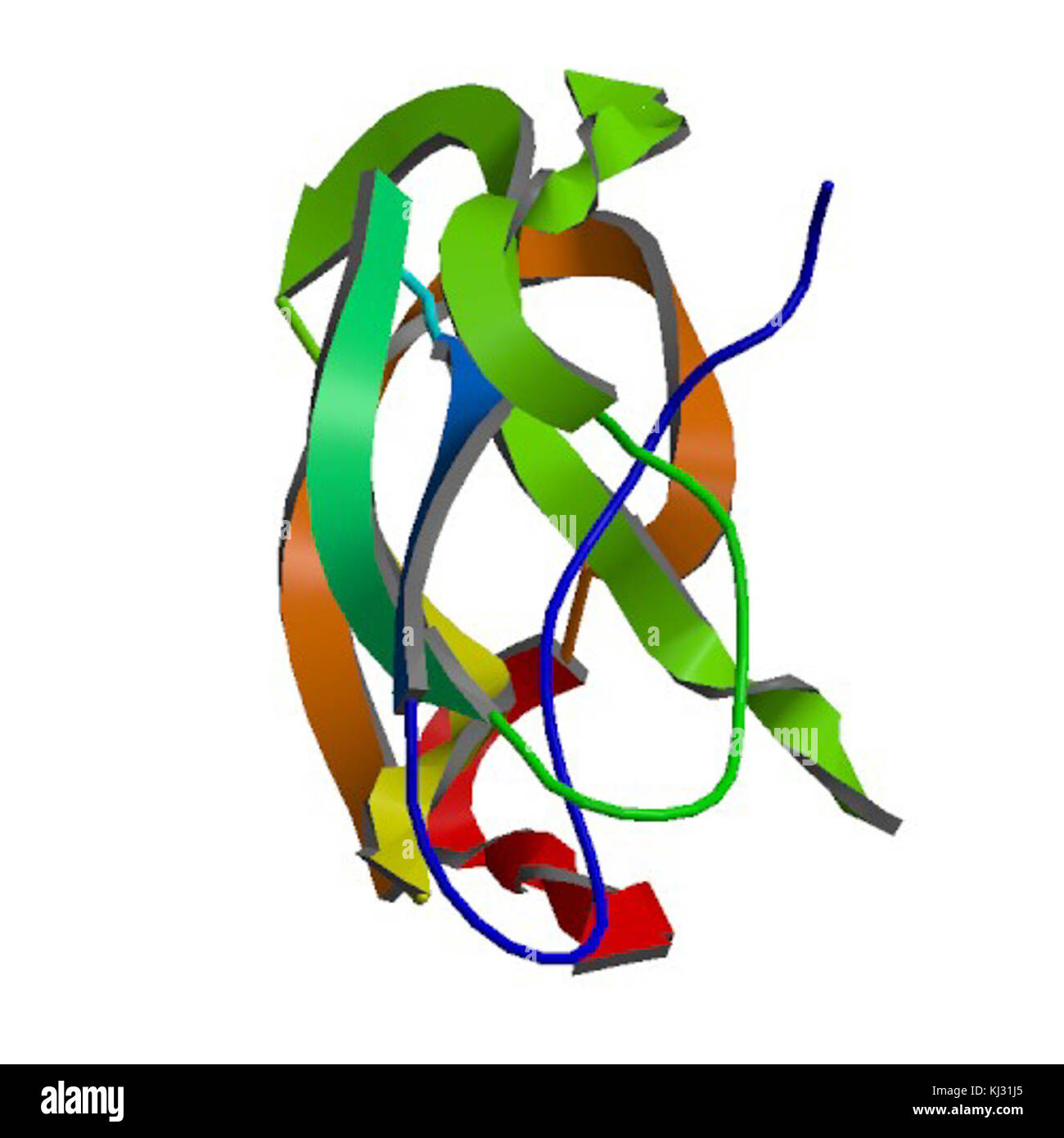 Protein precursor hi-res stock photography and images - Alamy