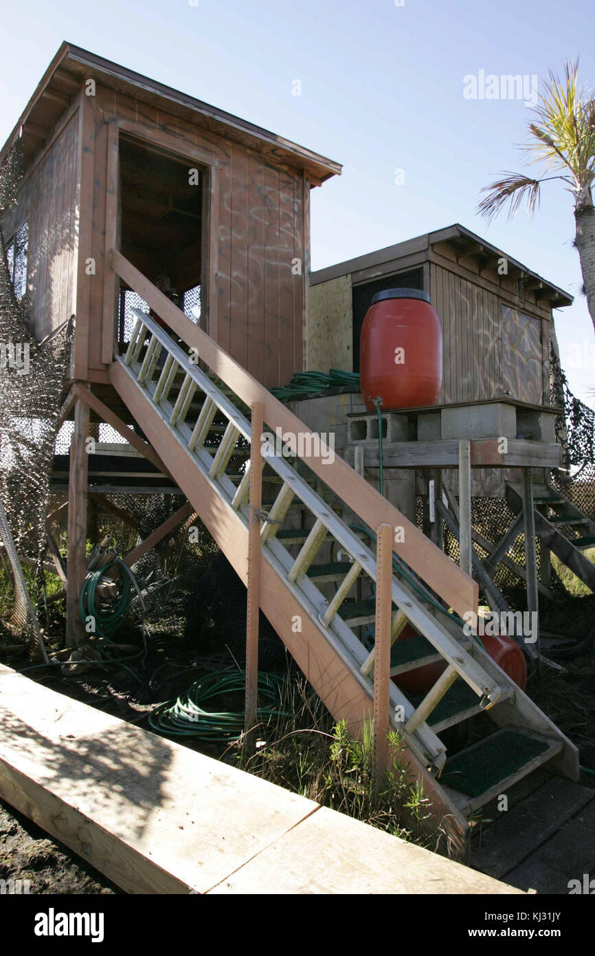 Small wooden houses raised above the ground with steps Stock Photo - Alamy